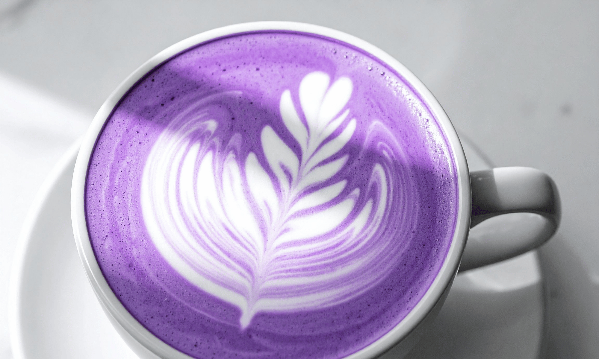 Le Ube des Philippines – 100% Naturel | Ube latte & dessert – UBELIO